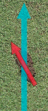 Pro Tip: How to Read Your Divots